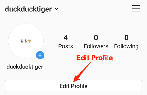 How do I put different fonts in my Instagram bio?