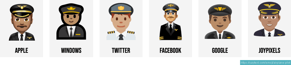 🧑‍ ️ Airplane pilot emojis 🧑🏻‍ ️🧑🏼‍ ️🧑🏽‍ ️🧑🏾‍ ️🧑🏿‍ ️👨‍ ️👩‍ ️