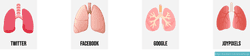 🫁 Lungs emoji