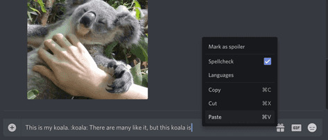 How can I make bold text in Discord chat?