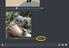 How can I make bold text in Discord chat?