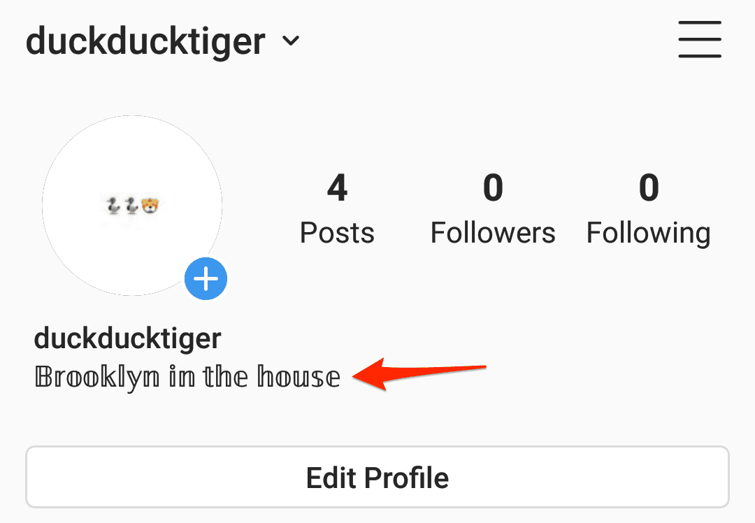 How do I put different fonts in my Instagram bio?