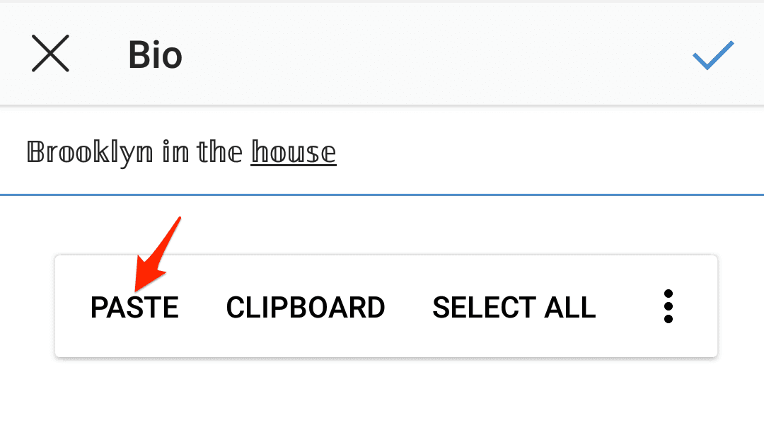 How do I put different fonts in my Instagram bio?